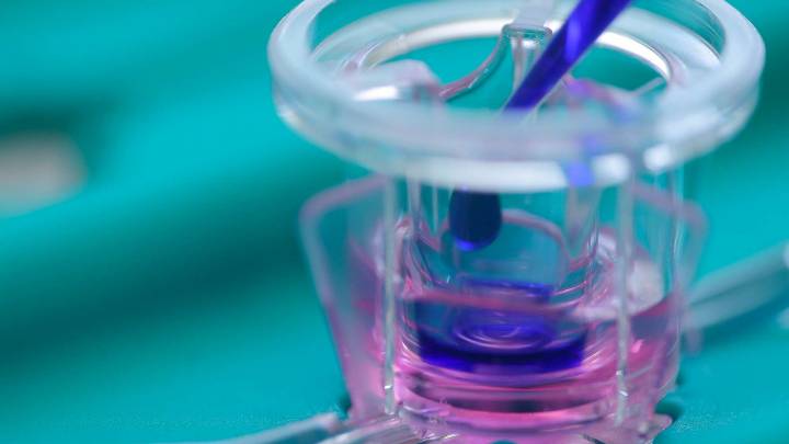 MIVO® Technology ORGAN-ON-CHIP | React4life