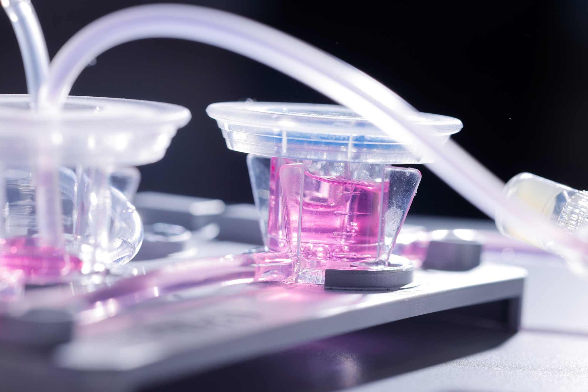 Mivo® technology: Multi In Vitro Organ Device