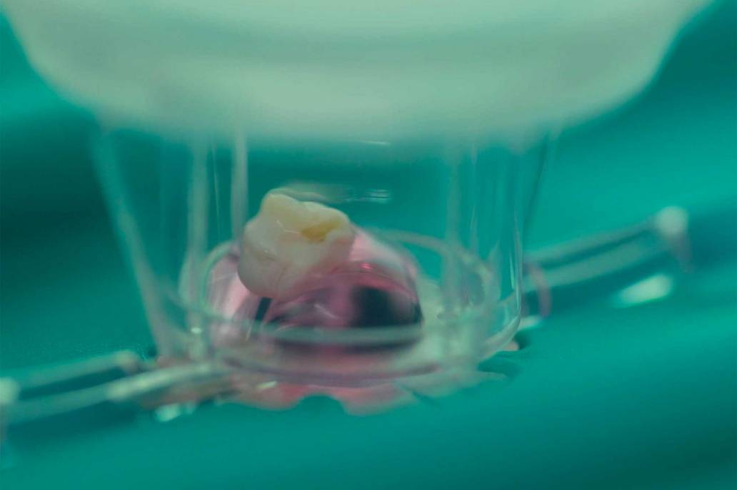 Revolutionizing Biomedical Research with 3D Cell Cultures and ...