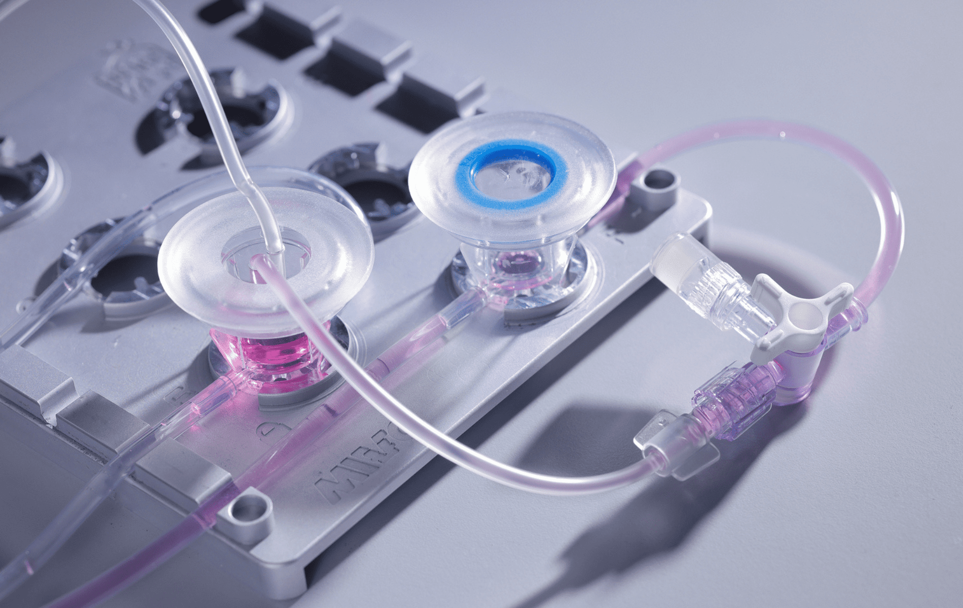 MIVO® Tecnology ORGAN-ON-CHIP