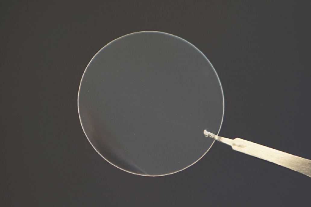 Skin on Chip: Innovative Dermocosmetics Research | React4life