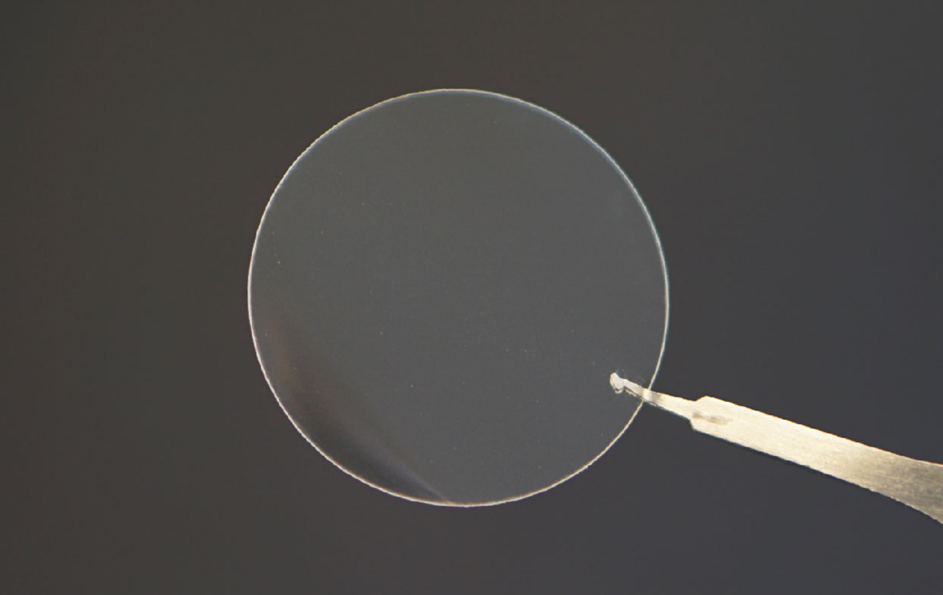 A novel Skin-on-Chip Model for permeation and absorption studies